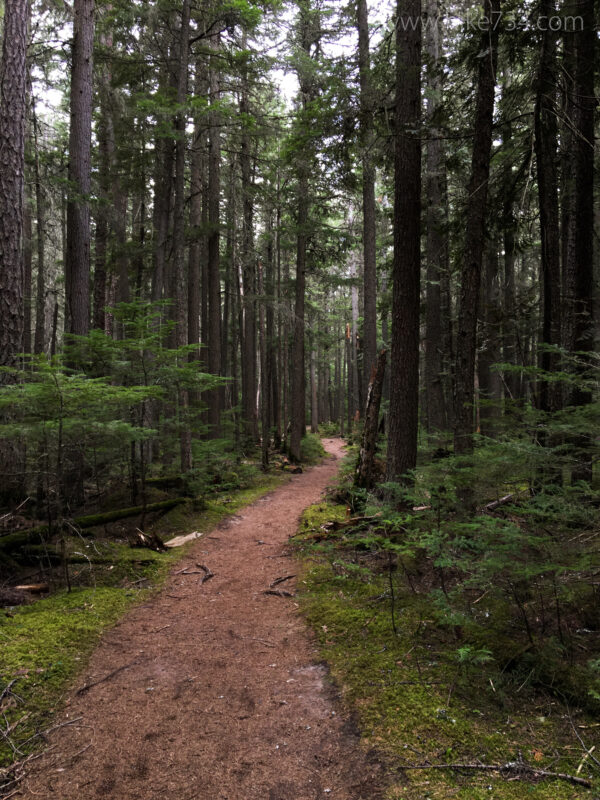 Spring Trail Run - Hike 734