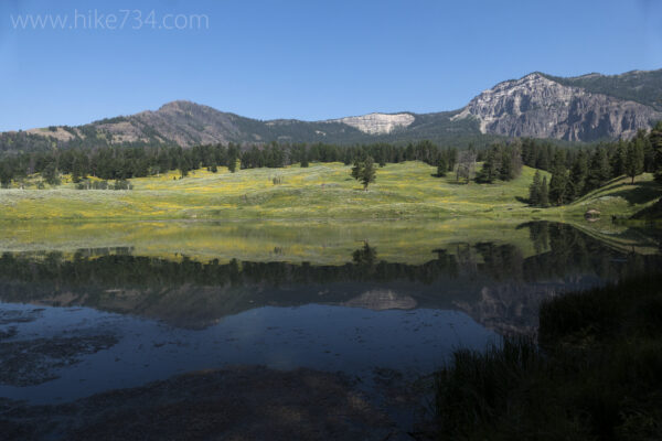 Trout Lake - Hike 734