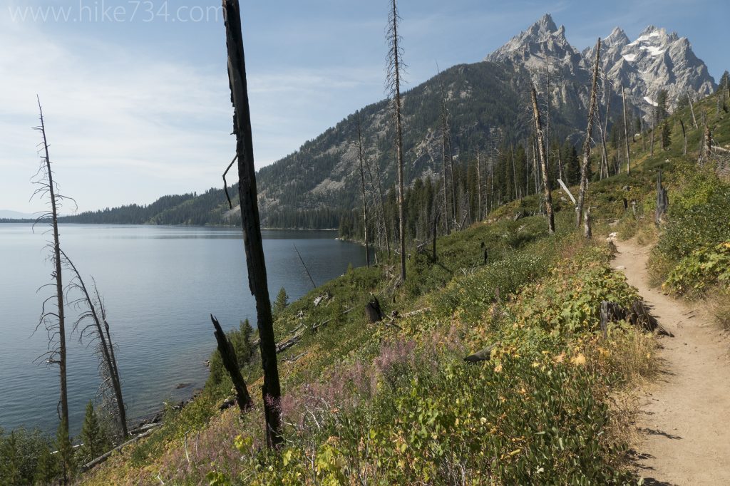 Jenny Lake Loop - Hike 734