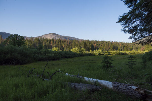 Wawona Meadow Loop - Hike 734
