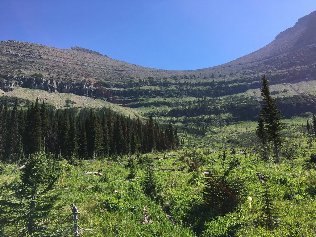 Avalanche chute below Matahpi Peak - Hike 734
