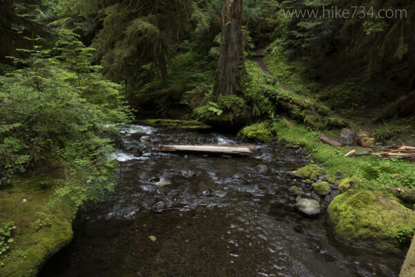 Little River Trail - Hike 734