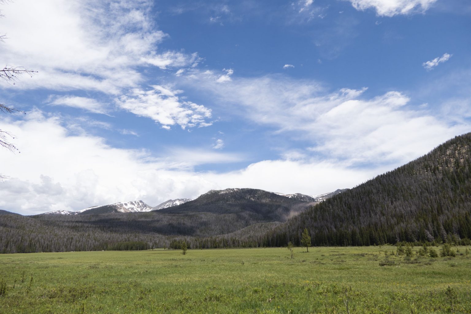 Big Meadows - Hike 734