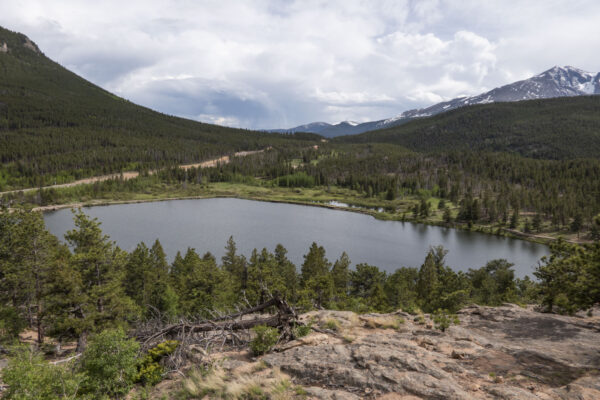Lily Ridge Loop - Hike 734